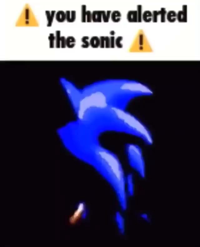 You have alerted the sonic - iFunny