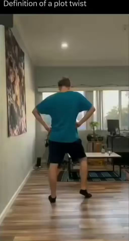 Definition of a plot twist I - iFunny