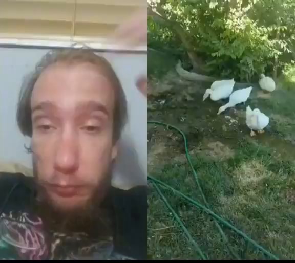 Video memes NEXR1jfn9 by Joker_Cringe: 23 comments - iFunny