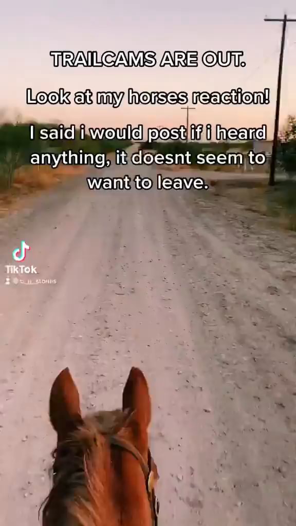 TRAILCAMS ARE OUT. Look at my horses reaction! {said i would post if i ...