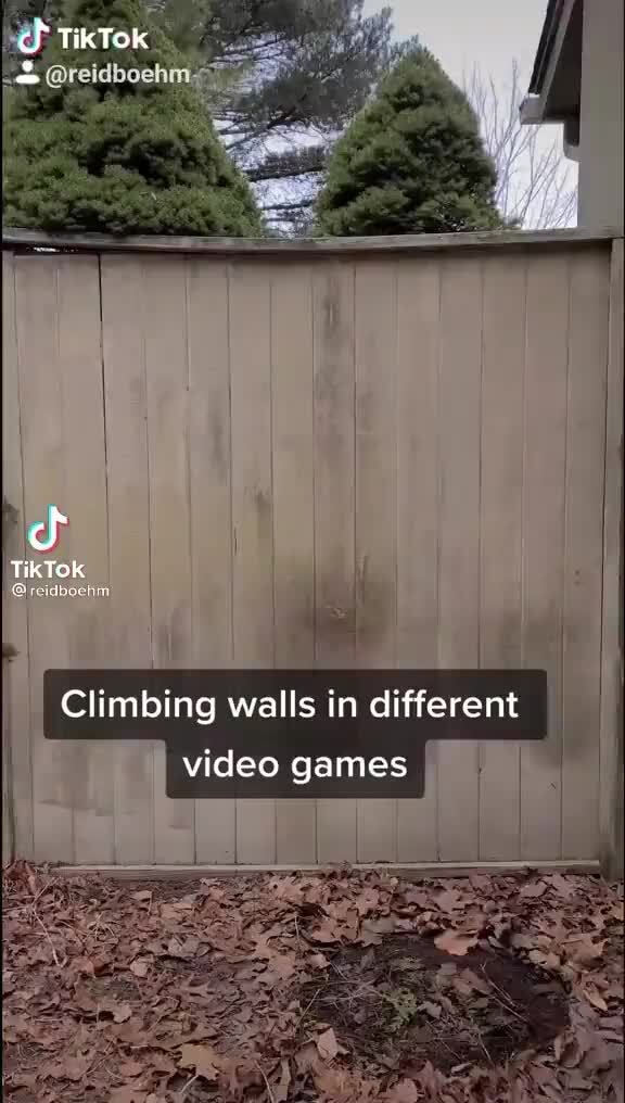 Ch TikTok cf TikTOk Climbing walls in different video games - iFunny