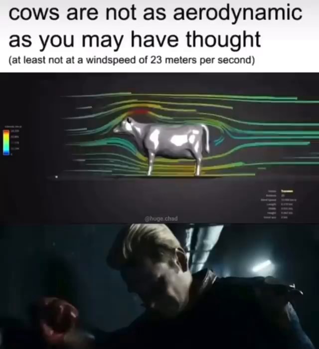 Cows are not as aerodynamic as you may have thought (at least not at a ...