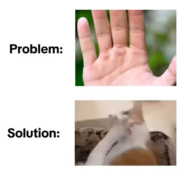 Problem: Solution: - iFunny