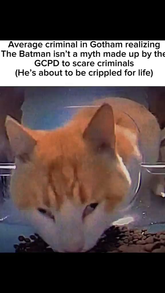 Average criminal in Gotham realizing The Batman isn't a myth made up by ...