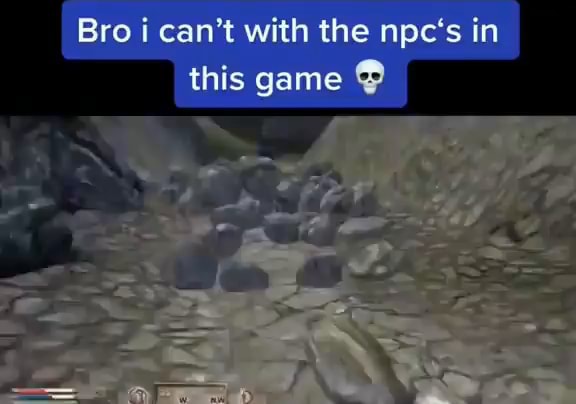 Bro i cant with the npe's in this game - iFunny