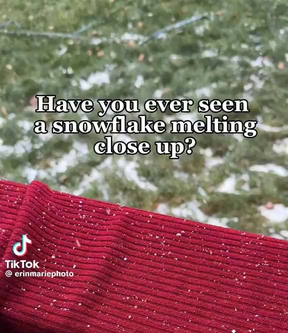 Have you ever seen a snowflake melting close up? cf TikTok - iFunny