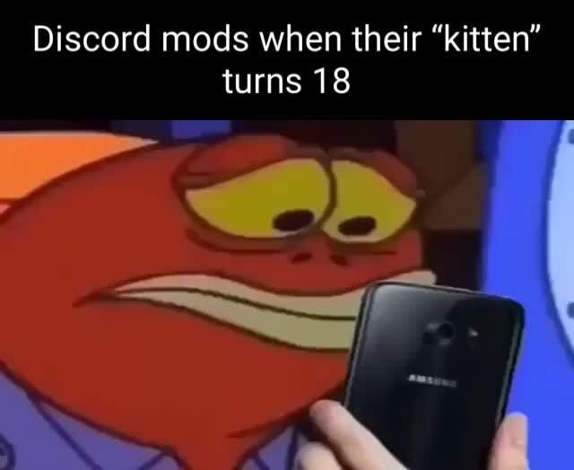 Discord mods when their "kitten" turns 18 - iFunny