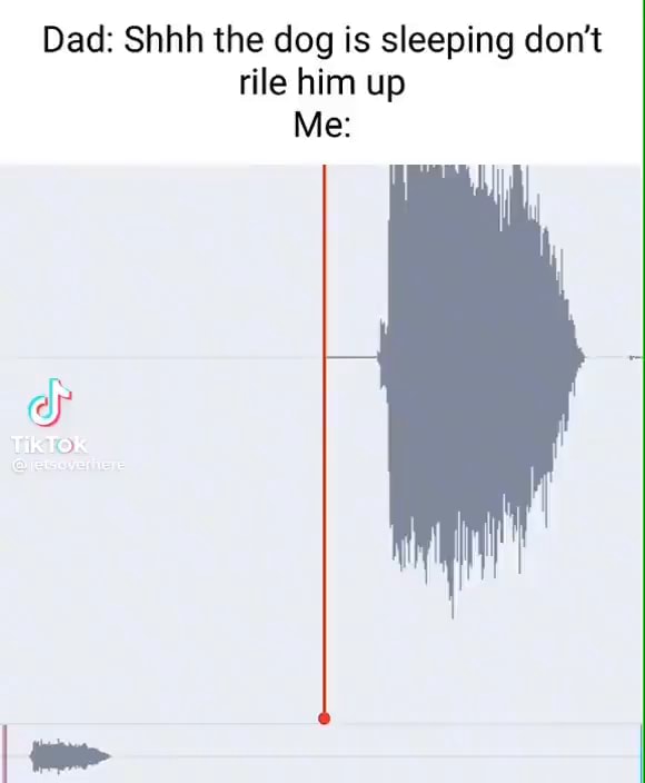 Dad: Shhh the dog is sleeping don't rile him up Me: BS - iFunny