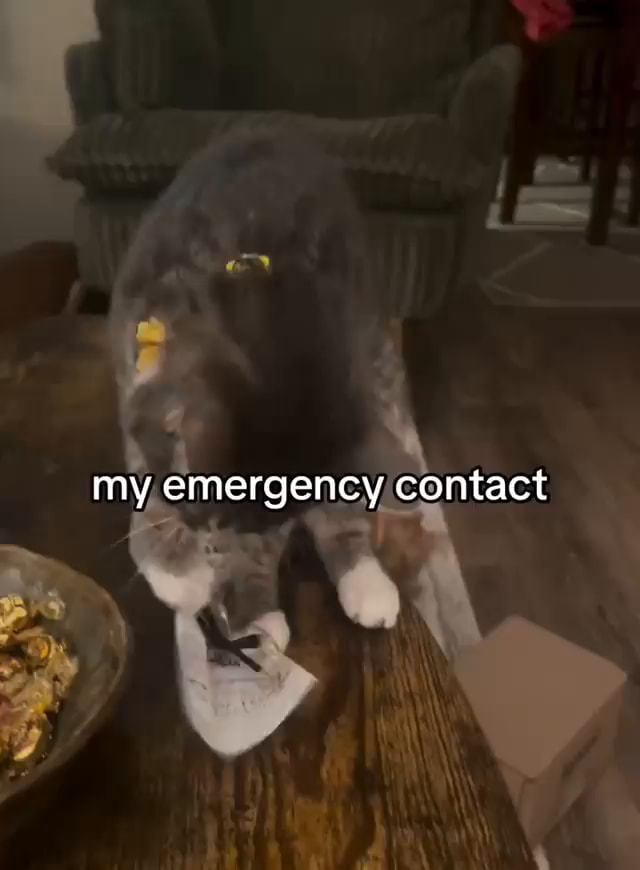 My emergency contact - iFunny