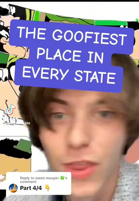 Big THE GOOFIEST PLACE IN EVERY STATE - iFunny