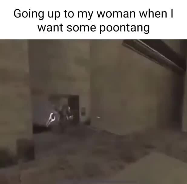 Going up to my woman when I want some poontang by - iFunny