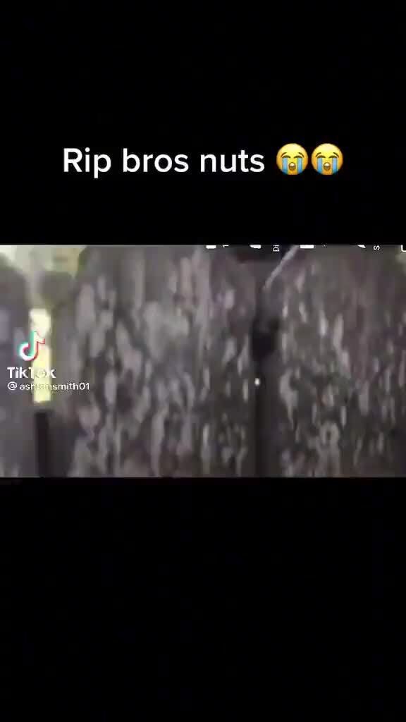 Rip bros nuts - iFunny