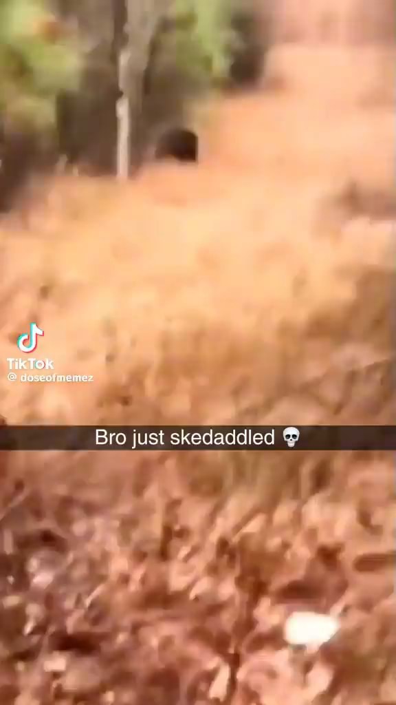 Tik Tok Bro just skedaddled - iFunny