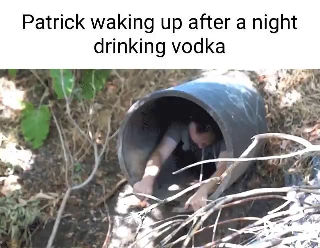 Patrick waking up after a night drinking vodka - iFunny