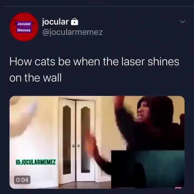 Jecuar jocular & meme @jocularmemez How cats be when the laser shines ...