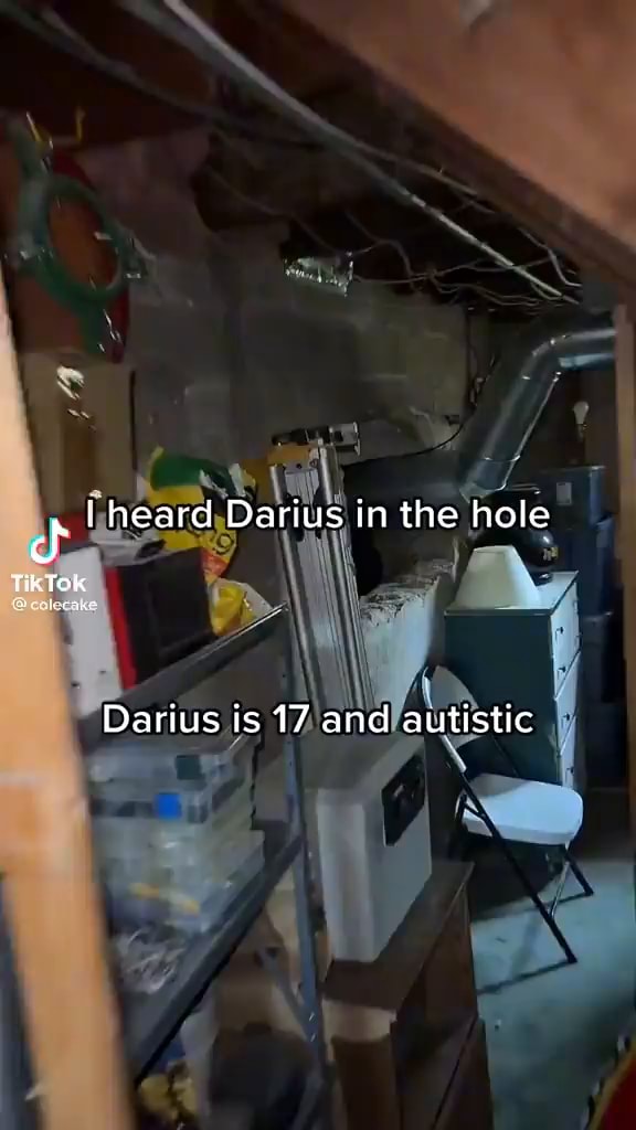 Tik Tok in the hole Darius is 17 and autistic LA - iFunny