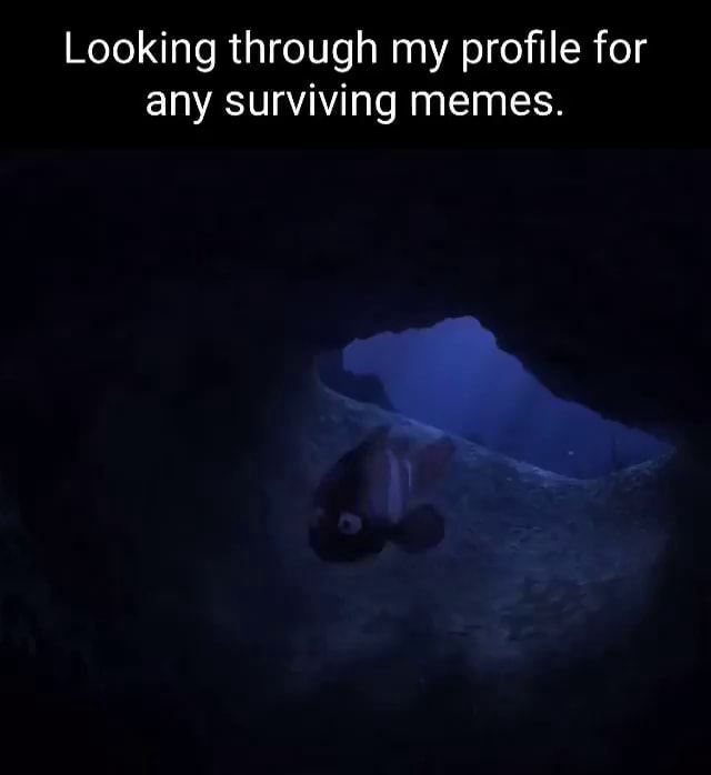 Looking through my profile for any surviving memes. - iFunny