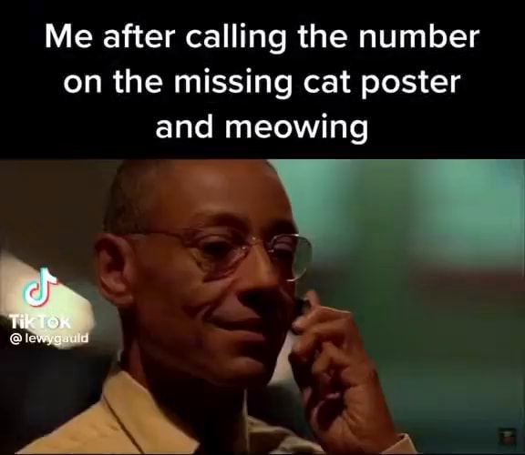 Me after calling the number on the missing cat poster and meowing Tik ...