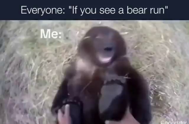 Everyone: "If you see a bear run" Me: - iFunny