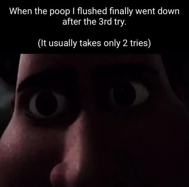 When the poop I I flushed finally went down after the try. (It usually ...