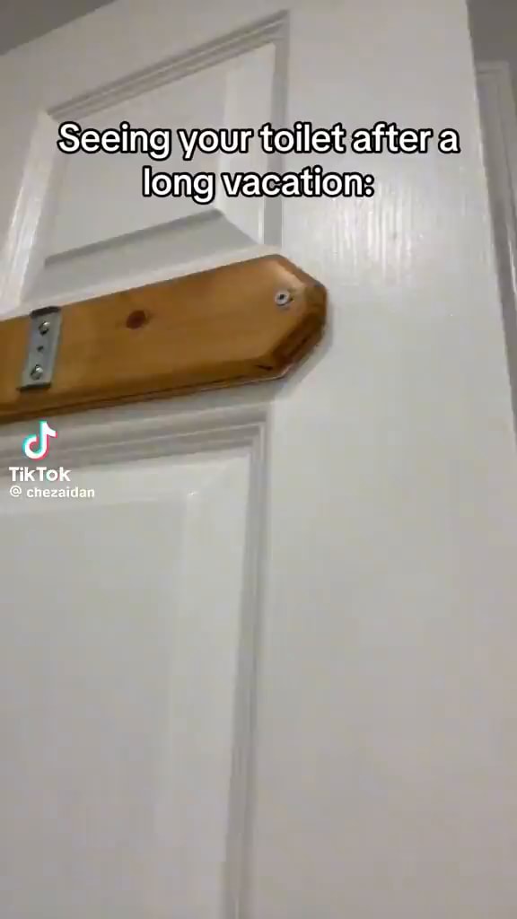 Seeing your toilet after a long vacation: TikTok chezaidan - iFunny