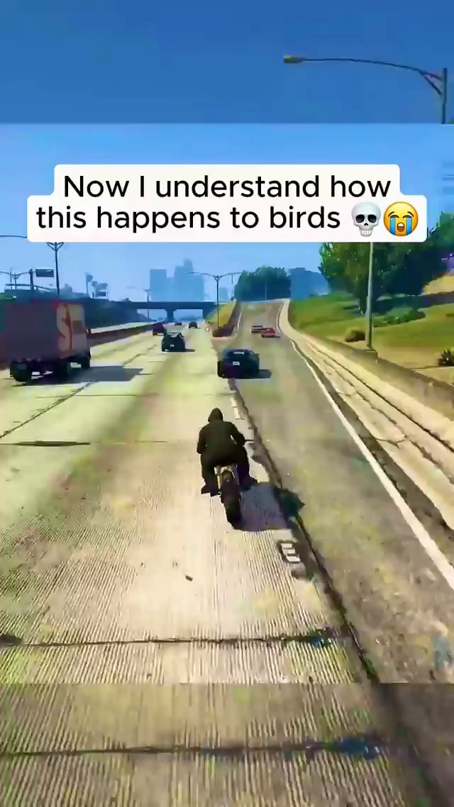 Now I understand how this happens to birds le - iFunny