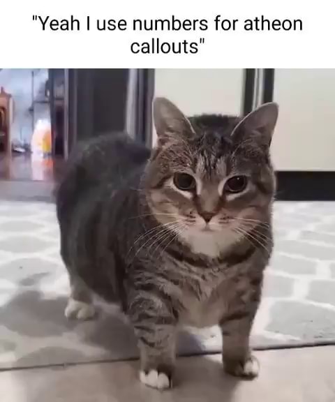 "Yeah I use numbers for atheon callouts" - iFunny