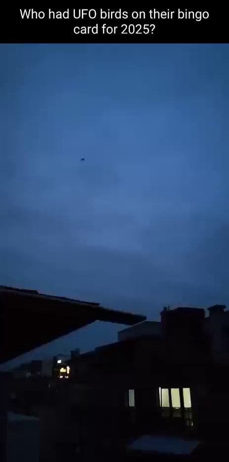 Who had UFO birds on their bingo card for 2025? - iFunny