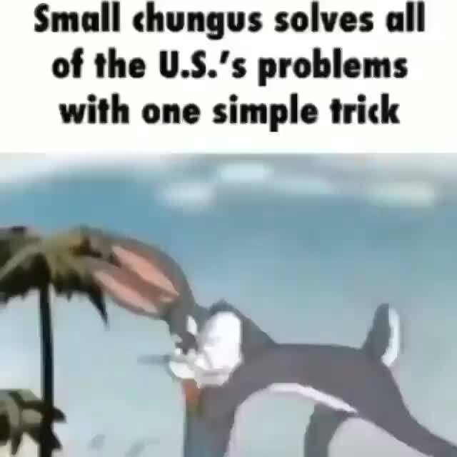Small chungus solves all of the U.S.'s problems with one simple trick ...
