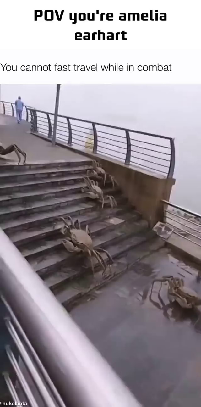 POV you're amelia earhart You cannot fast travel while in combat - iFunny