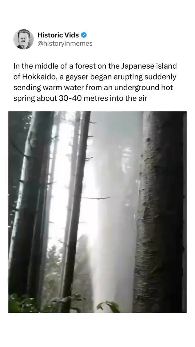 Geysers are a rare kind of hot spring that are under pressure. This one ...