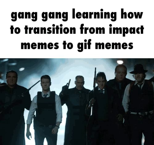 Gang gang learning how to transition from impact memes to gif memes ...
