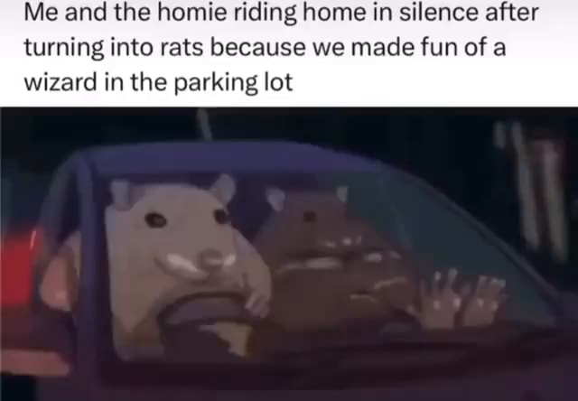 Me and the homie riding home in silence after turning into rats because ...