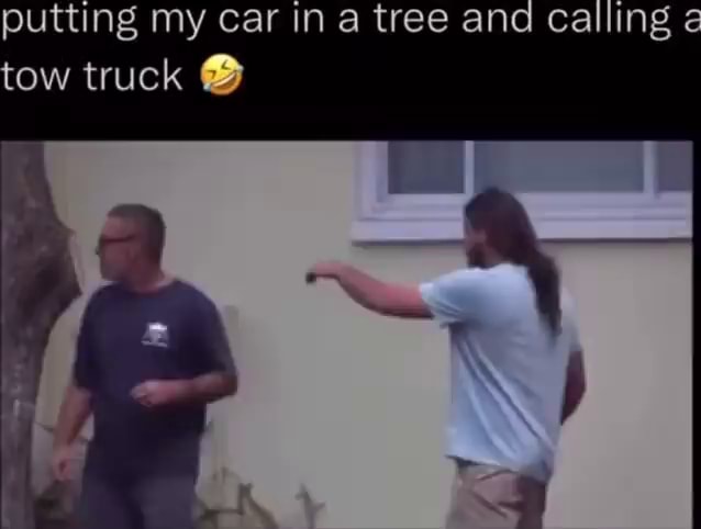 Putting my car in a tree and calling tow truck - iFunny