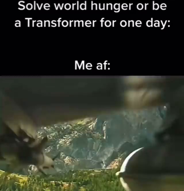 Solve world hunger or be a Transformer for one day: Me af: - iFunny