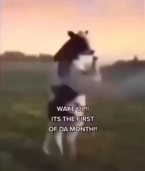 ITS THE FIRST OF DA MONTH!! - iFunny