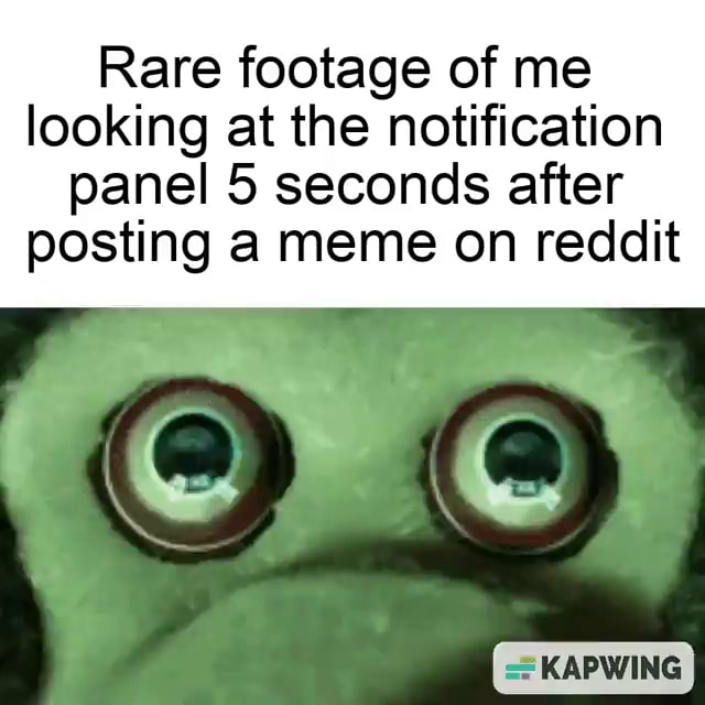 Rare footage of me looking at the notification panel 5 seconds after ...