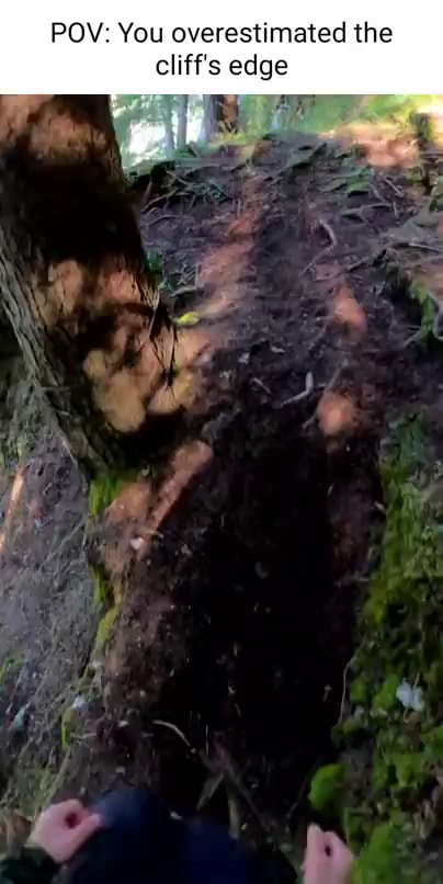 POV: You overestimated the cliff's edge We - iFunny