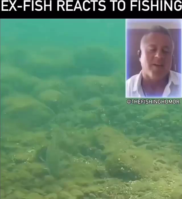 EX-FISH REACTS FISHING - iFunny