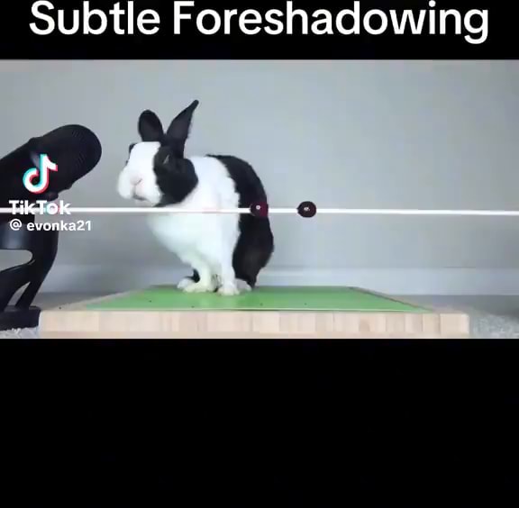 Subtle Foreshadowing - iFunny