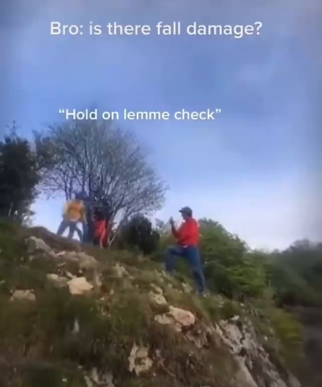 Bro: is there fall damage? "Hold on lemme check" - iFunny