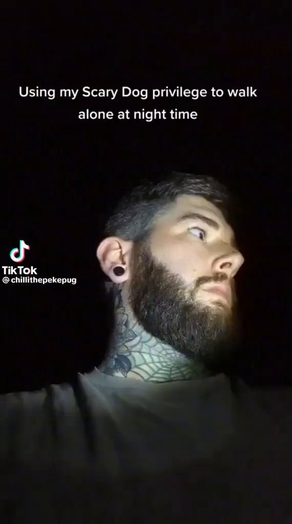 Using my Scary Dog privilege to walk alone at night time TikTok ...
