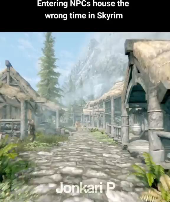 Entering NPCs house the wrong time in Skyrim - iFunny