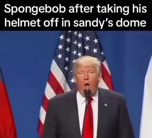 Spongebob after taking his helmet off in sandy's dome - iFunny
