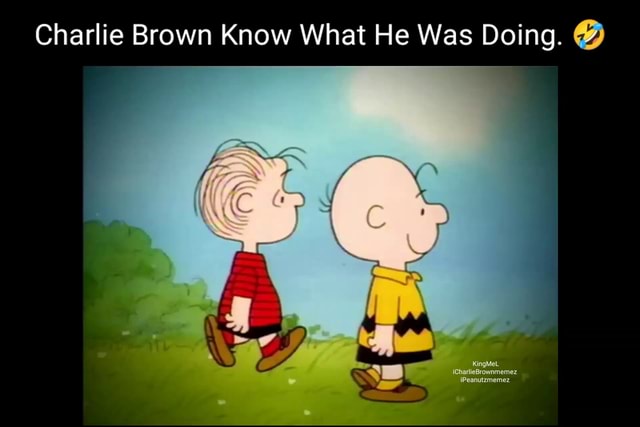 Ing. Charlie Brown Know What He Was Do - iFunny