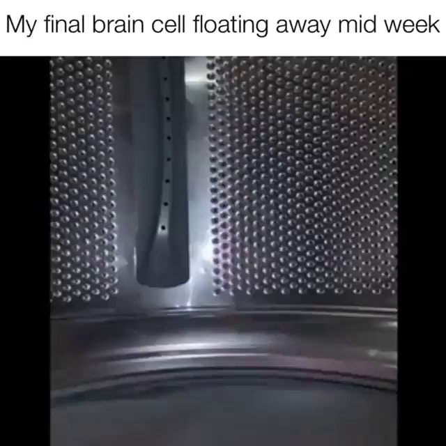 #memes #catmemes #rip_braincells - My final brain cell floating away ...