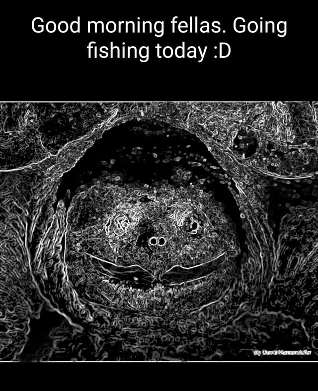 Good morning fellas. Going fishing today :D - iFunny
