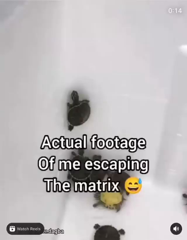 Actual footage Of me escaping The matrix - iFunny