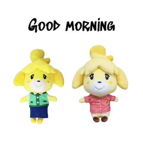 Goob MORNING oe, poy - iFunny