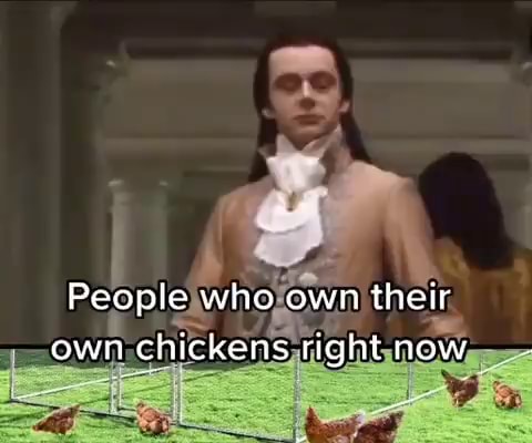 People who own their own chickens right now - iFunny